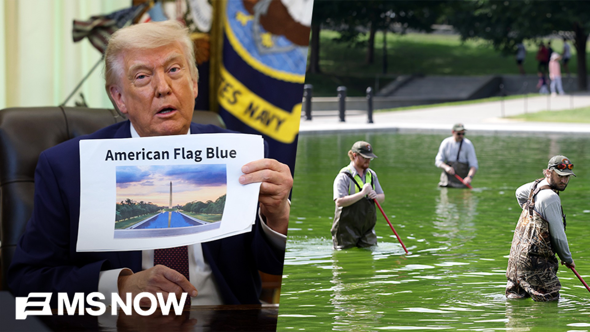 Trump’s big beautiful pool is turning into a swamp