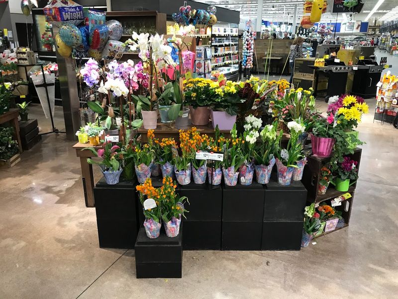 10 giant bazaars in Minnesota that are a bargain hunter’s dream