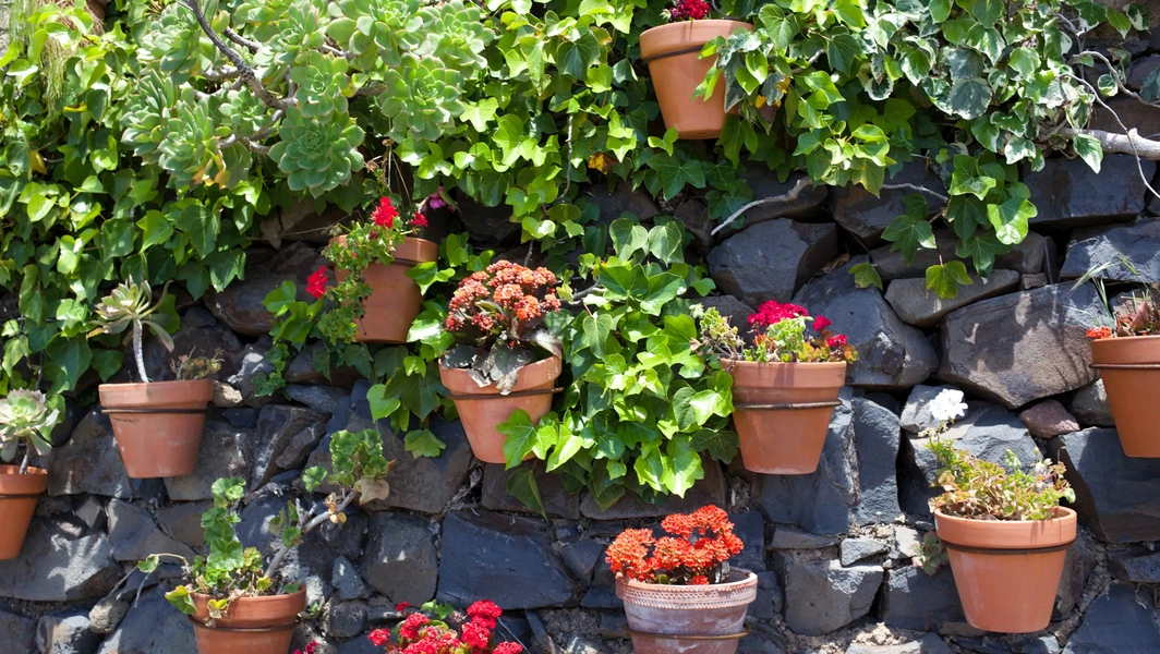 9 creative vertical gardening solutions for small spaces
