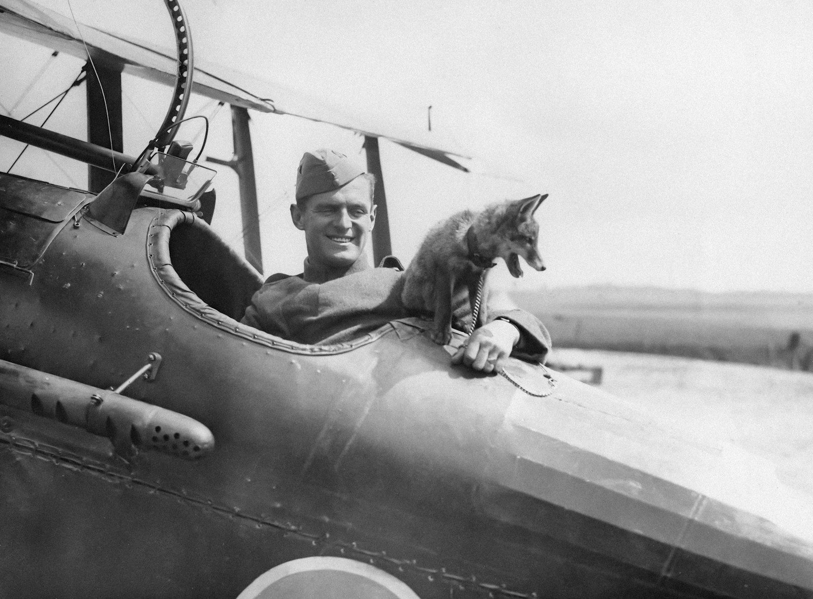 Flying with your pet? What dog and cat owners should know first