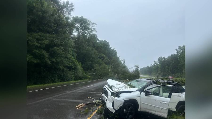 WFPSO: Highway closed after tree falls on moving vehicle