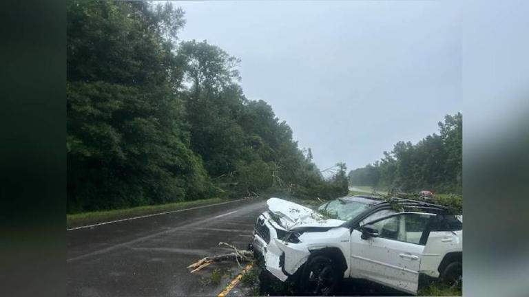 Fallen tree blocks road, damages car in West Feliciana Parish