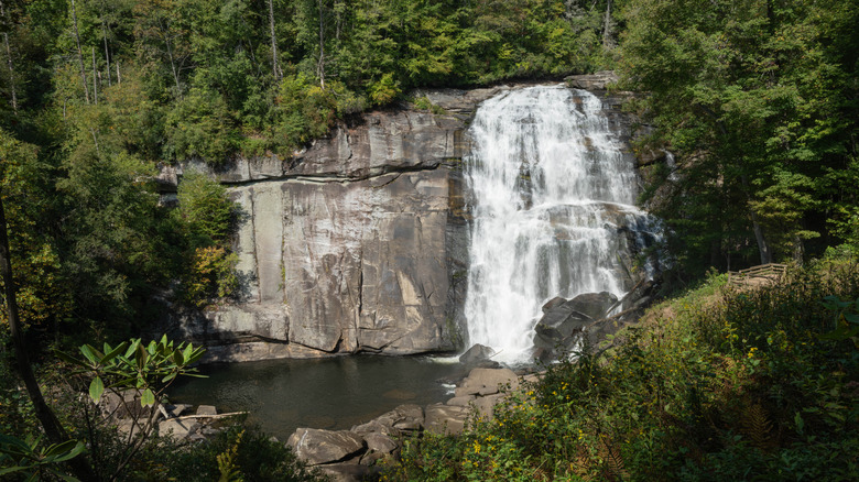America's top hiking destination is an East Coast mountain forest full ...