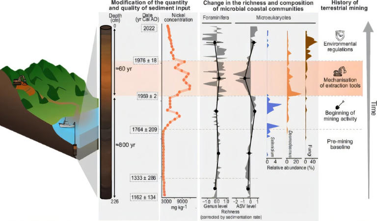 Intensive nickel mining has transformed microbial biodiversity of Thio ...