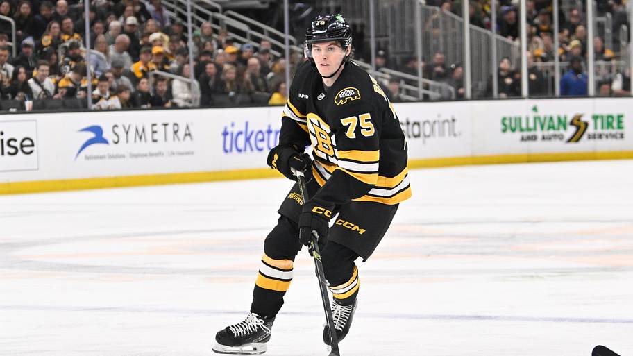 James Hagens returns to USA's lineup, Lukas Reichel scores three goals ...