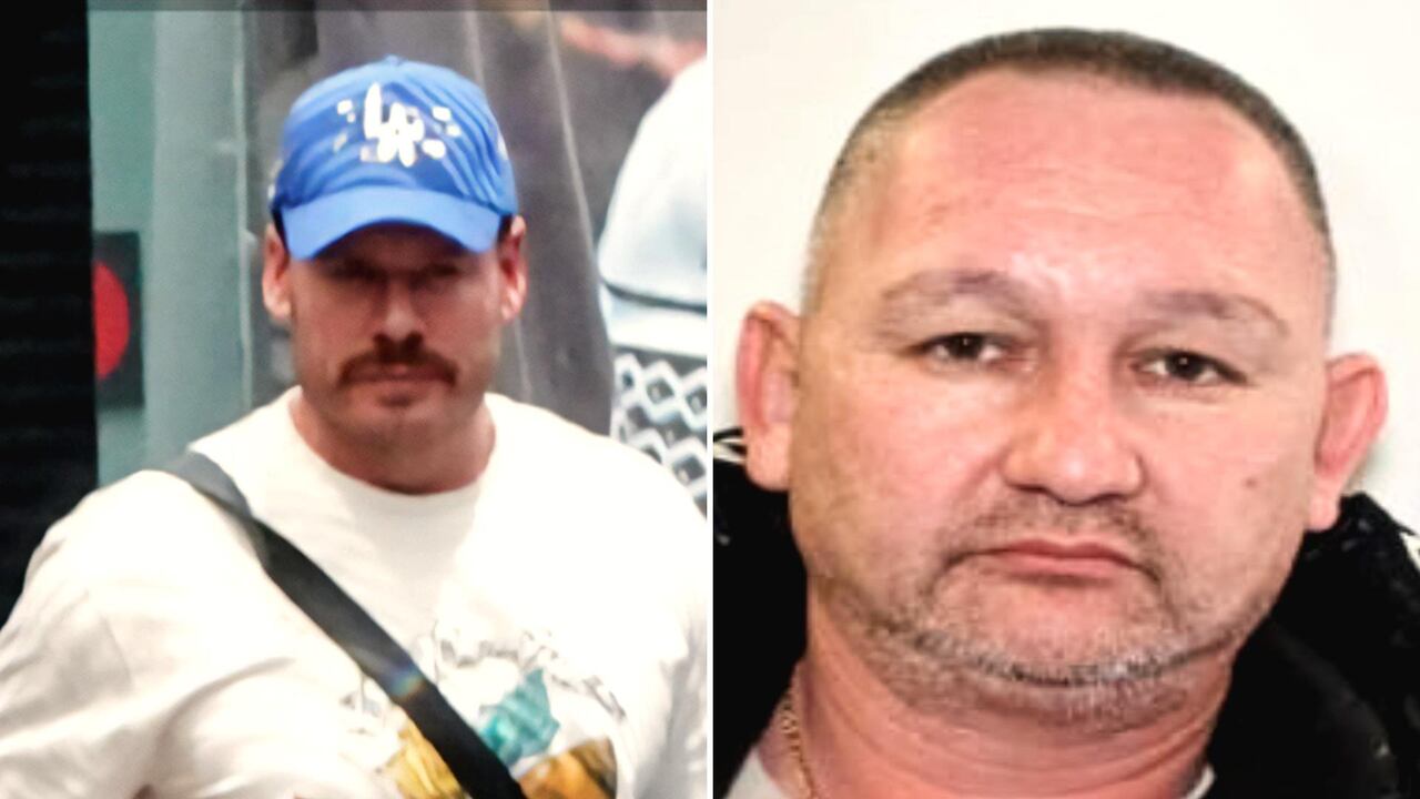 Toronto man to plead guilty to conspiring to smuggle cocaine for drug ...