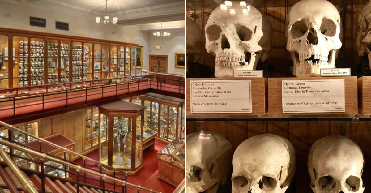 This Pennsylvania museum is one of the strangest and most fascinating ...