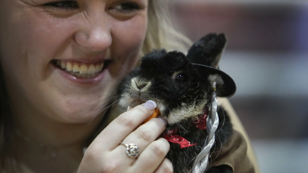 10 popular rabbit breeds and their distinctive traits