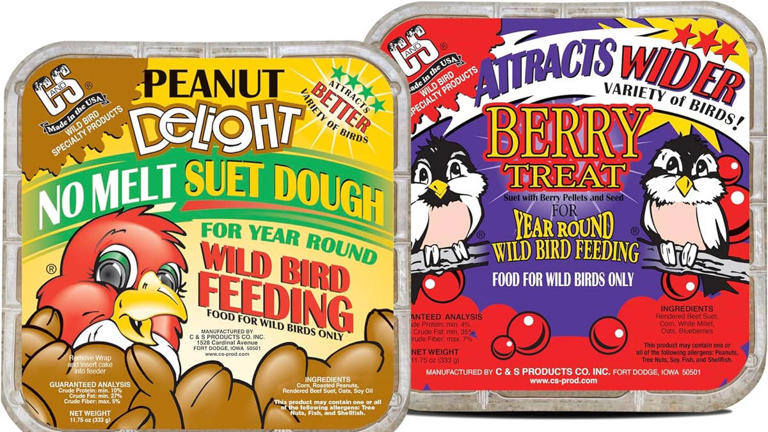 I tried Amazon's premium wild bird food, and my yard became a bird hotspot
