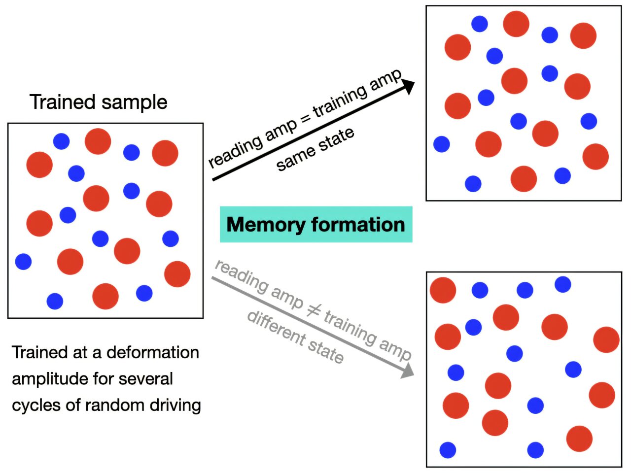 Random deformation lets glassy materials store precise mechanical ...