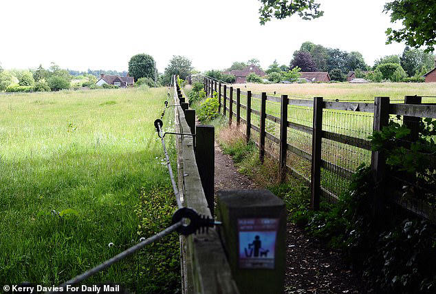 Under siege from newbuilds: Million-pound homeowners fear village is ...