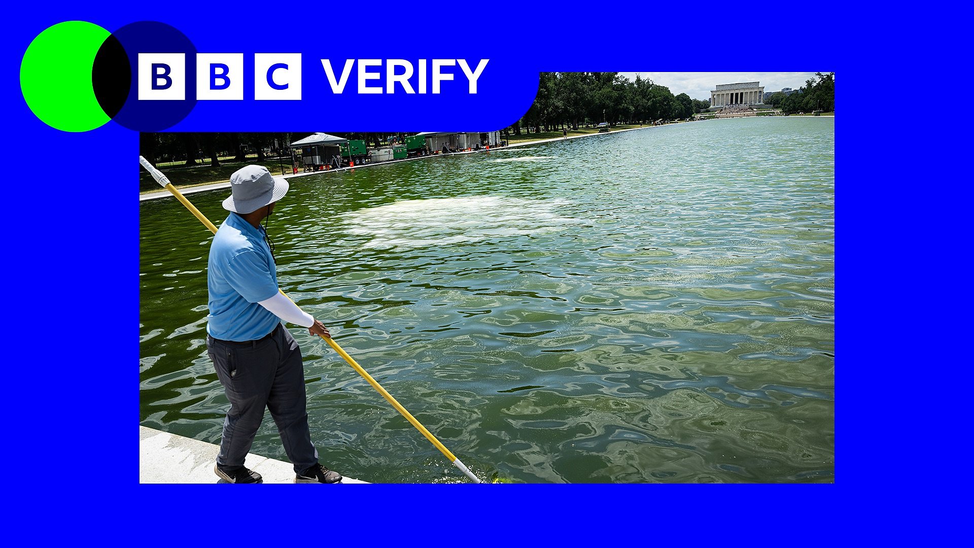 Why is newly renovated Reflecting Pool in Washington DC full of algae?