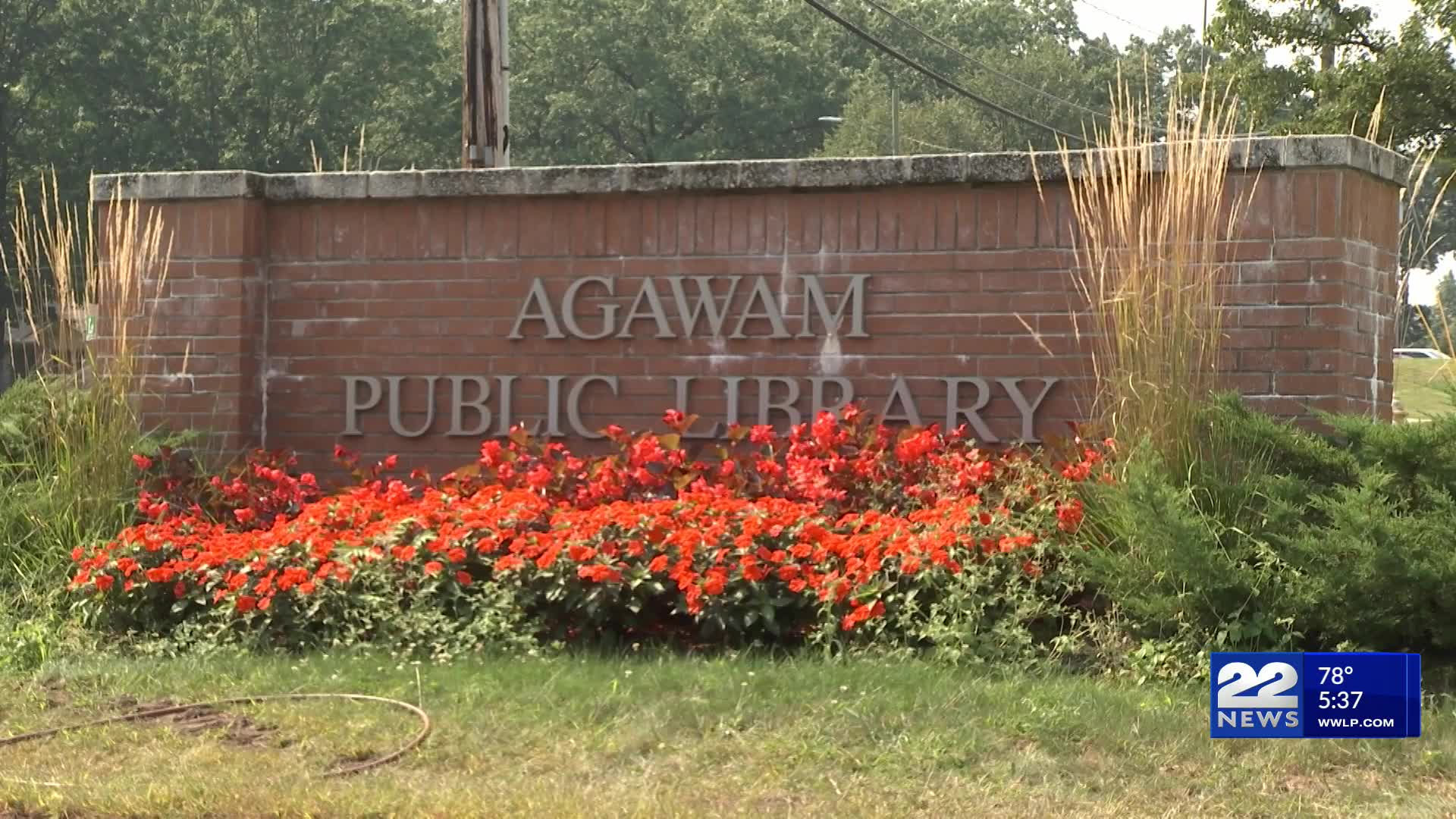 Agawam Library hosts art exhibit by late Parkinson's artist