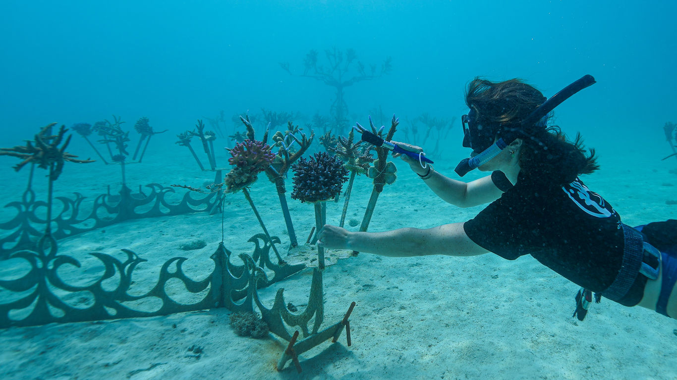 How the travel industry is stepping up for World Oceans Month