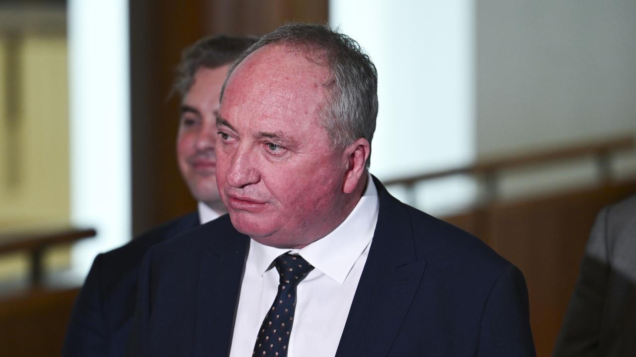 ‘Not unreasonable’: Barnaby confirms new One Nation role