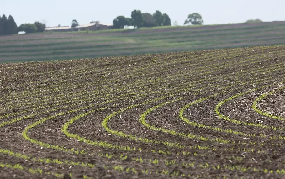 Iowa crops hold strong despite storms and flooding