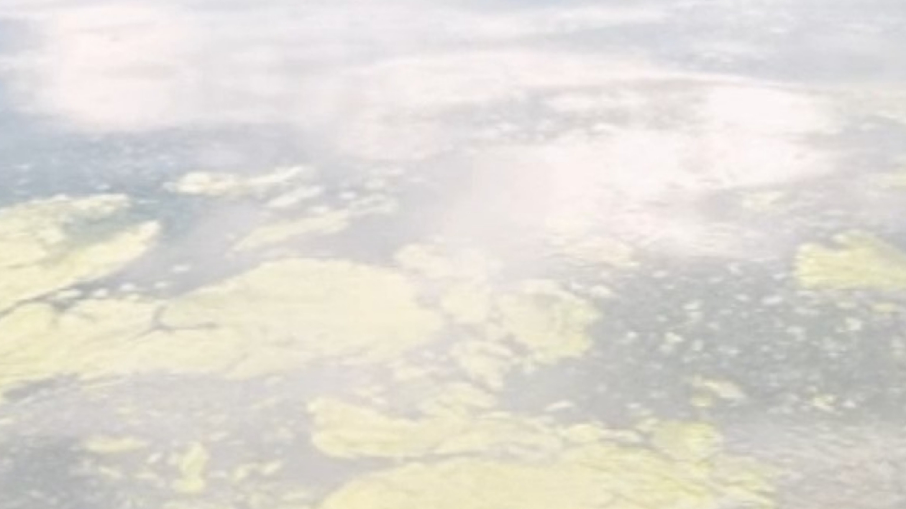 Algae turns Reflecting Pool green after $15 million spent to make water ...