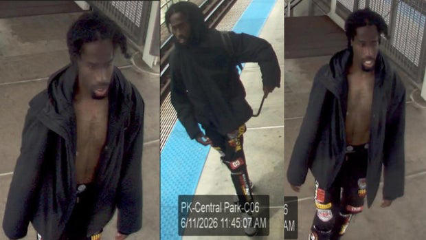 Chicago police seek man who punched woman in the head at CTA Pink Line ...