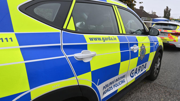 Teenage cyclist from Cork dies in collision with parked lorry in Waterford