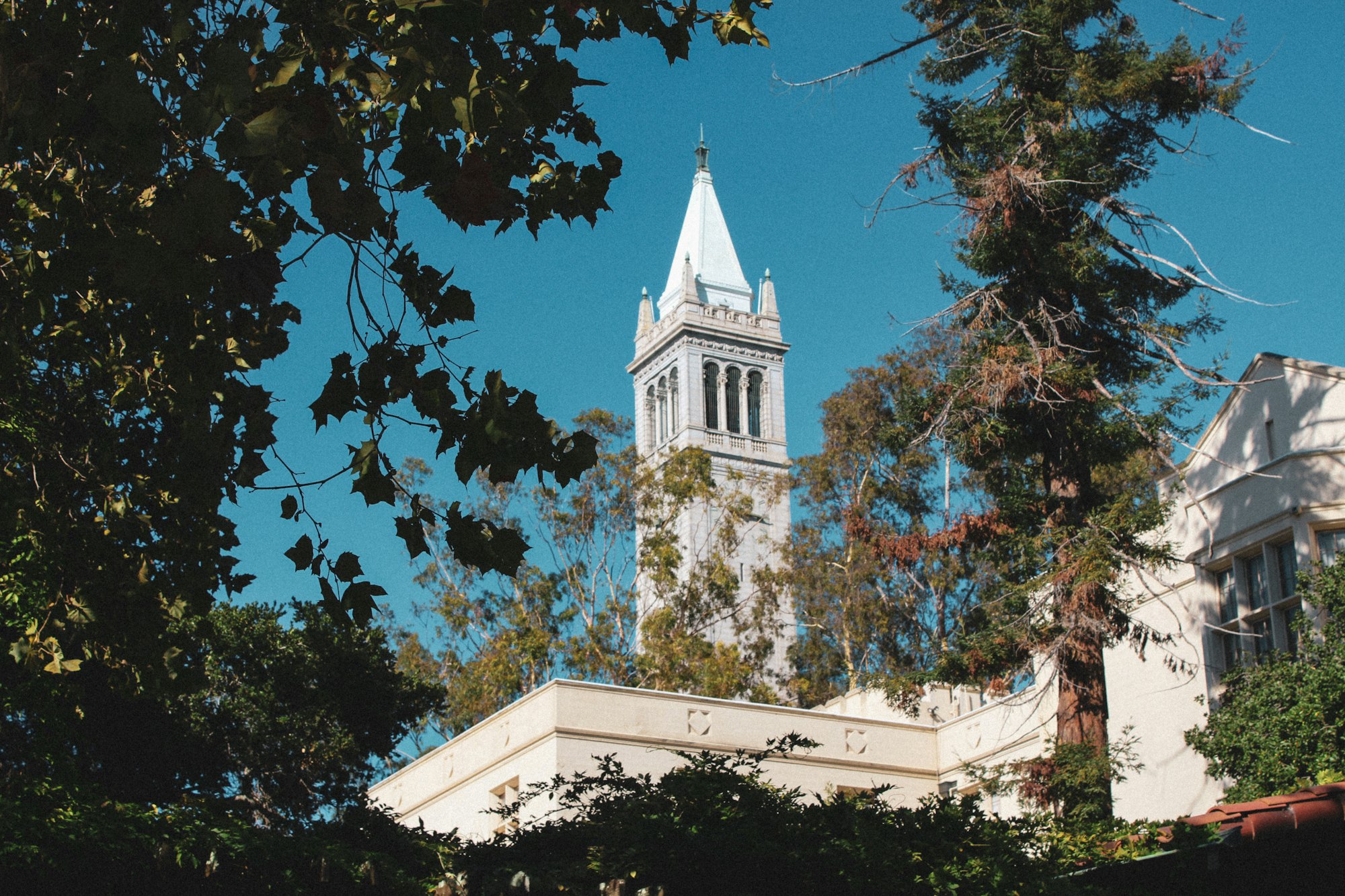 Camp counselor charged with lewd acts on a child in Cal dorm