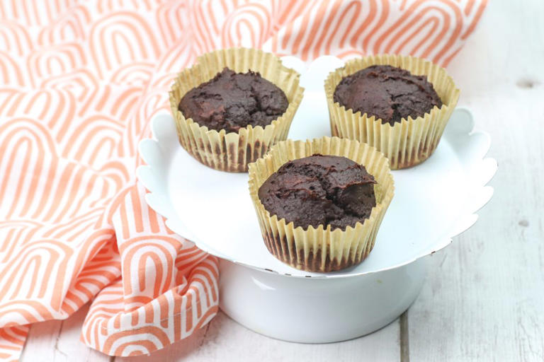 Easy chocolate pumpkin muffins (only 2 ingredients + WW friendly)