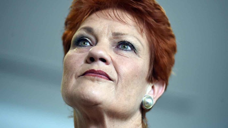 Pauline Hanson to face media scrutiny in media appearance like no other