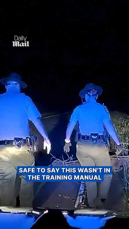 Deputy takes an unexpected tumble while clearing fallen tree