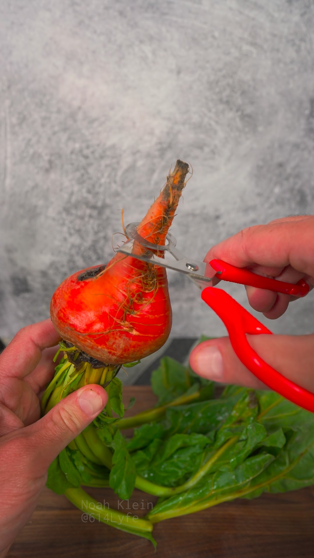 Beet Root vs Tube Topper