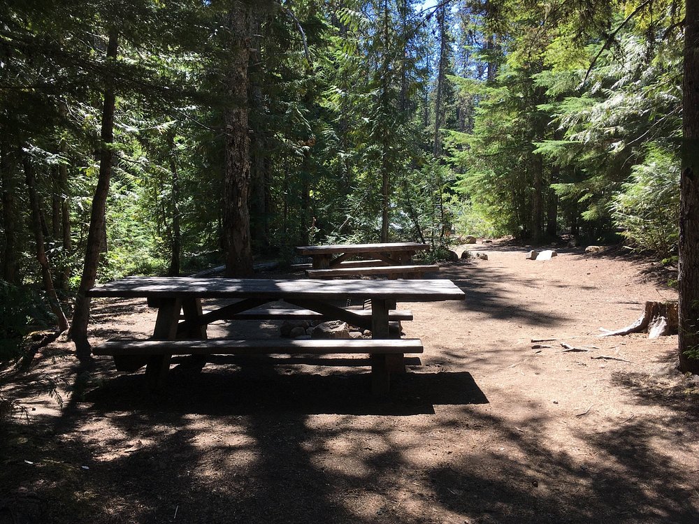 14 national forest campsites across the US that are great for a summer ...