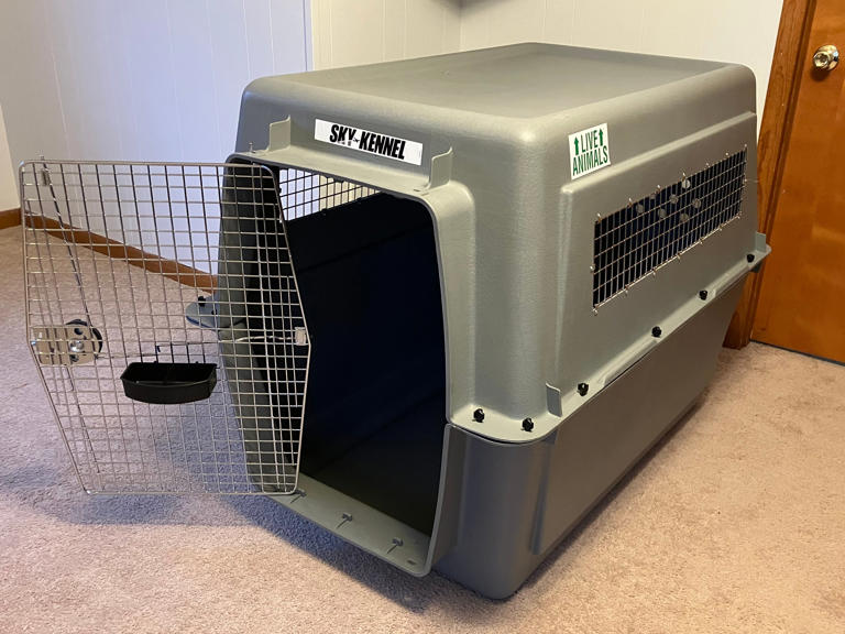 The best dog crates
