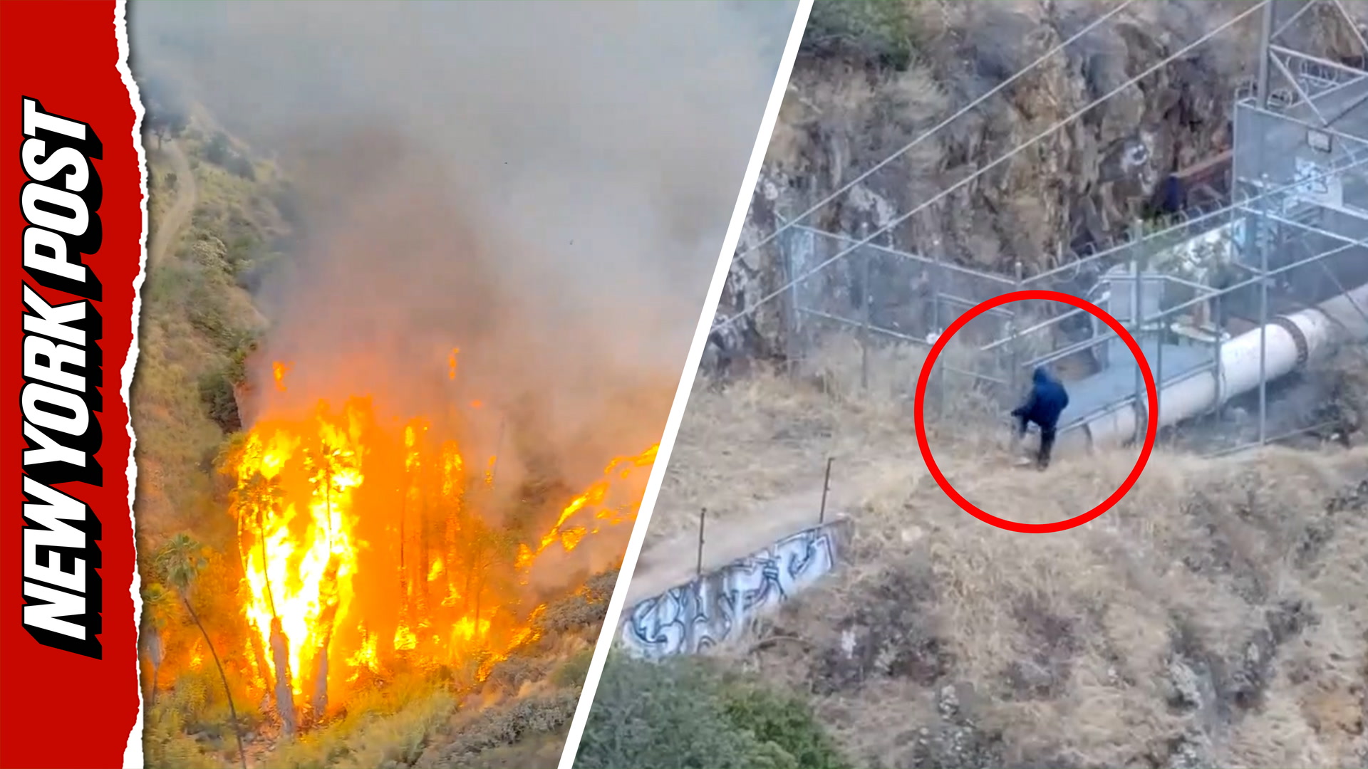 5-acre brush fire ignites after arson attack, suspect flees through ...