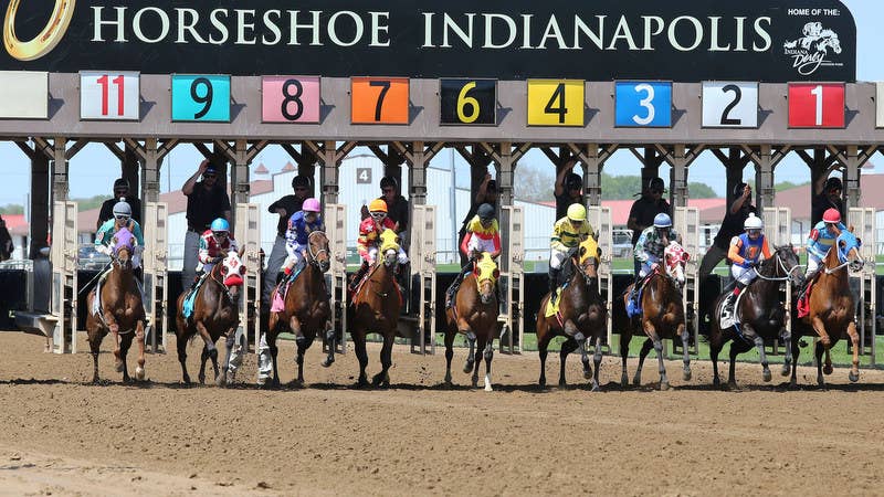 Indiana breed organizations to host joint thoroughbred, quarter horse ...