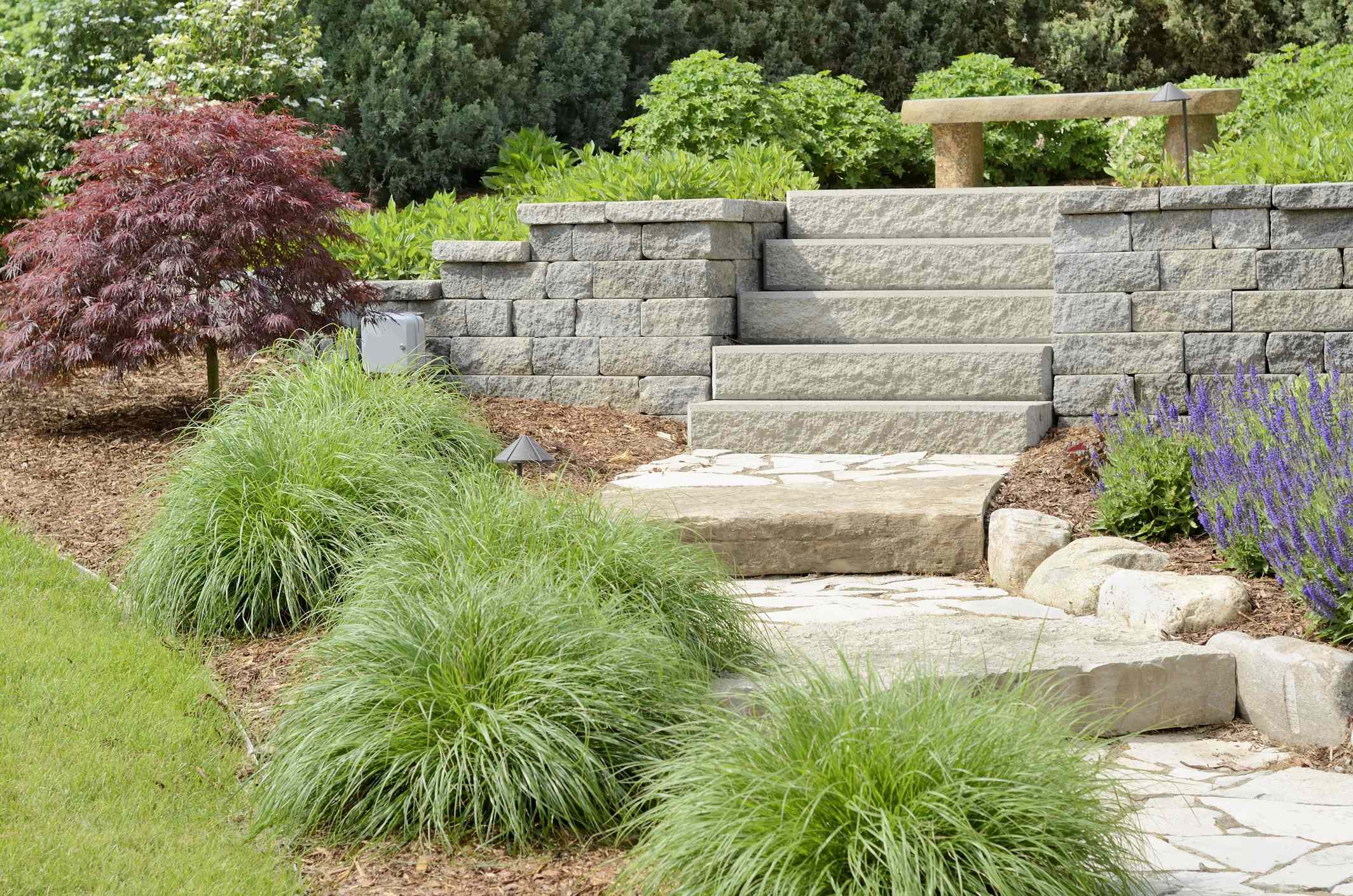 3 ornamental grasses that turn boring yard borders into breezy ...