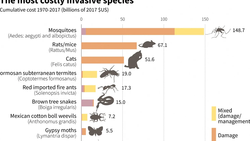 Invasive species impacting US ecosystems and economy