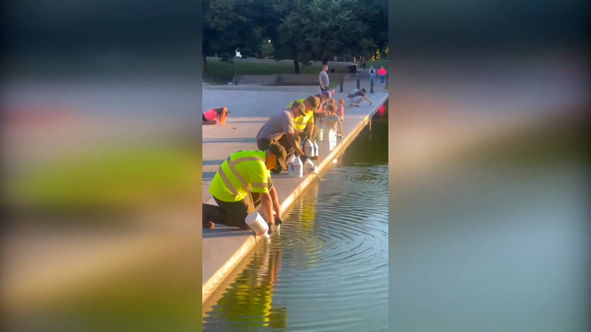 Update on reflecting pool algae