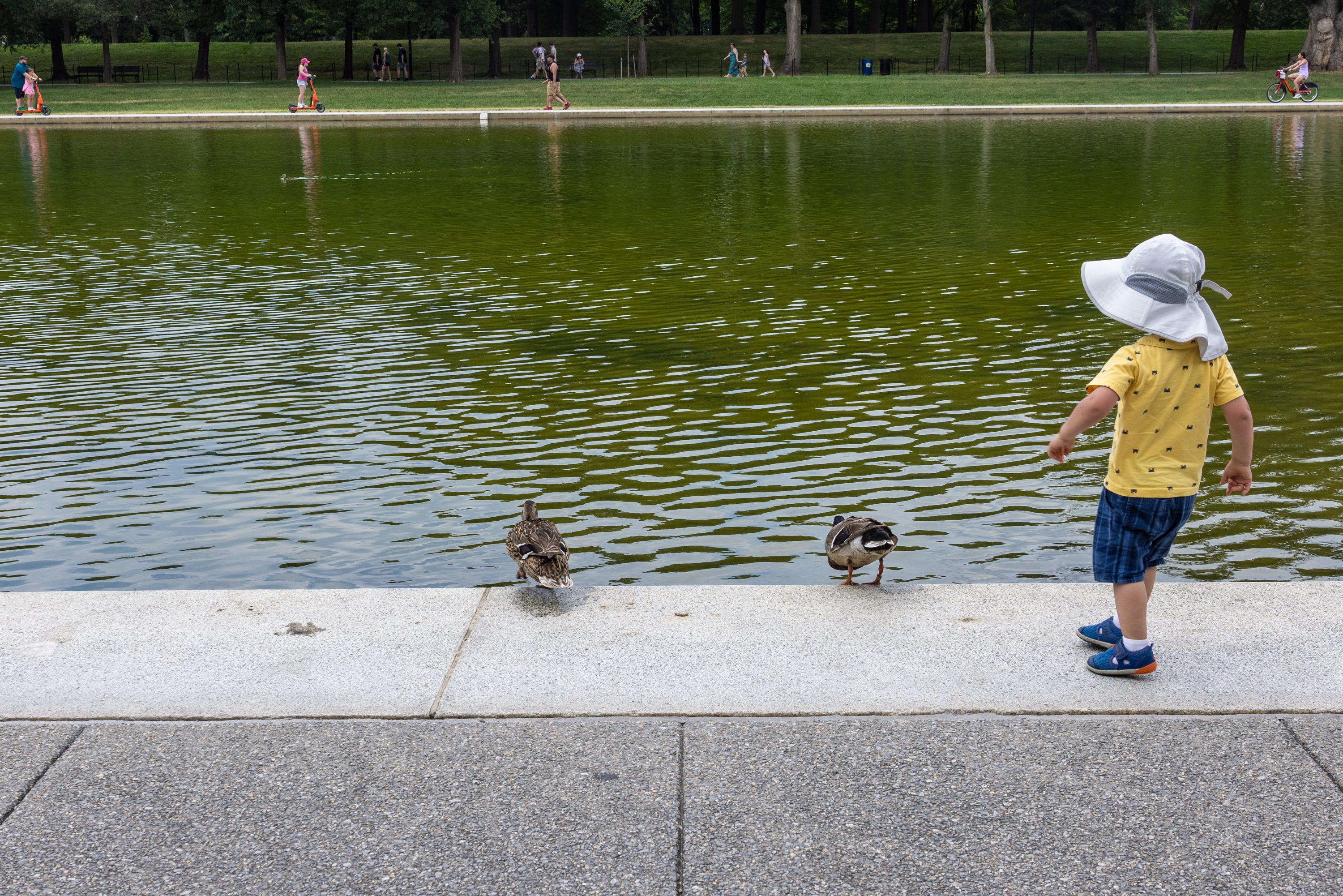 Lincoln Memorial Reflecting Pool before blue paint job vs after