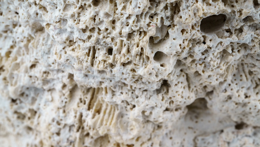 Ancient micro-tunnels hint at mysterious rock-boring life