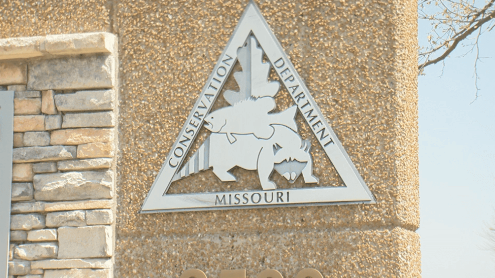 Missouri Department of Conservation to cut more than 100 positions amid ...
