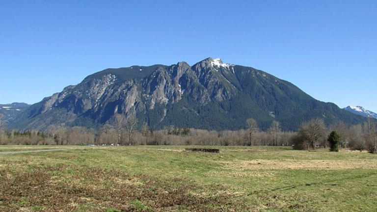 2 injured in bear attack on Mount Si
