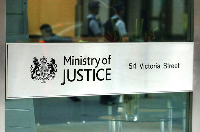 David Lammy reported to equality watchdog over diversity appointment plan