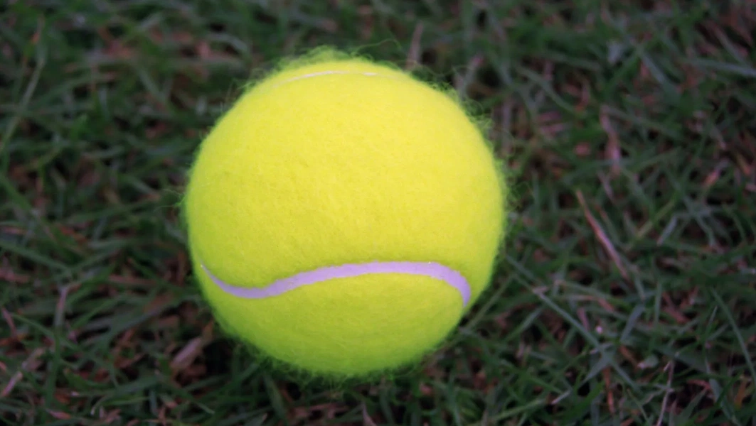 16 common items dangerous for dogs