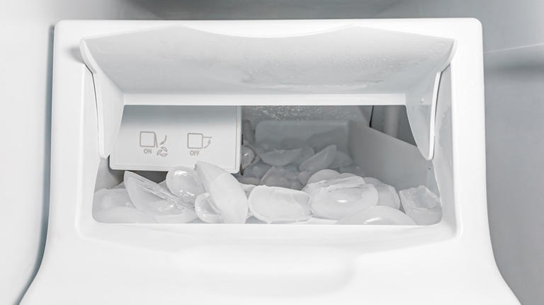 Here's what really happens if you never clean your ice maker