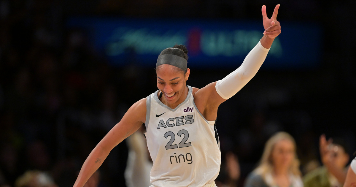 South Carolina women’s basketball alum A’ja Wilson wins WNBA Western ...