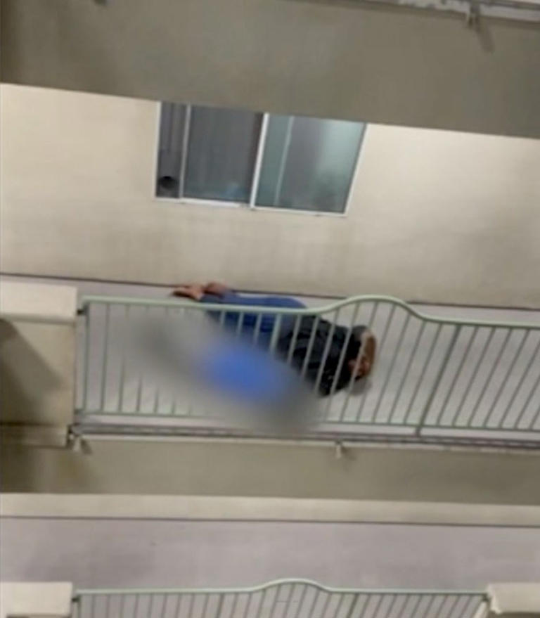 Knicks fan dog shot dead by LAPD raises insane six-figure sum for his ...