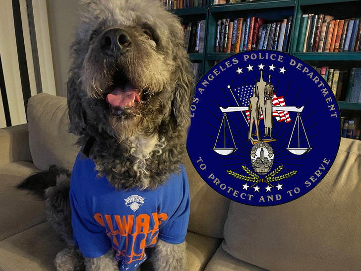 LAPD hasn't apologized for fatally shooting Knicks fan's dog, family claims