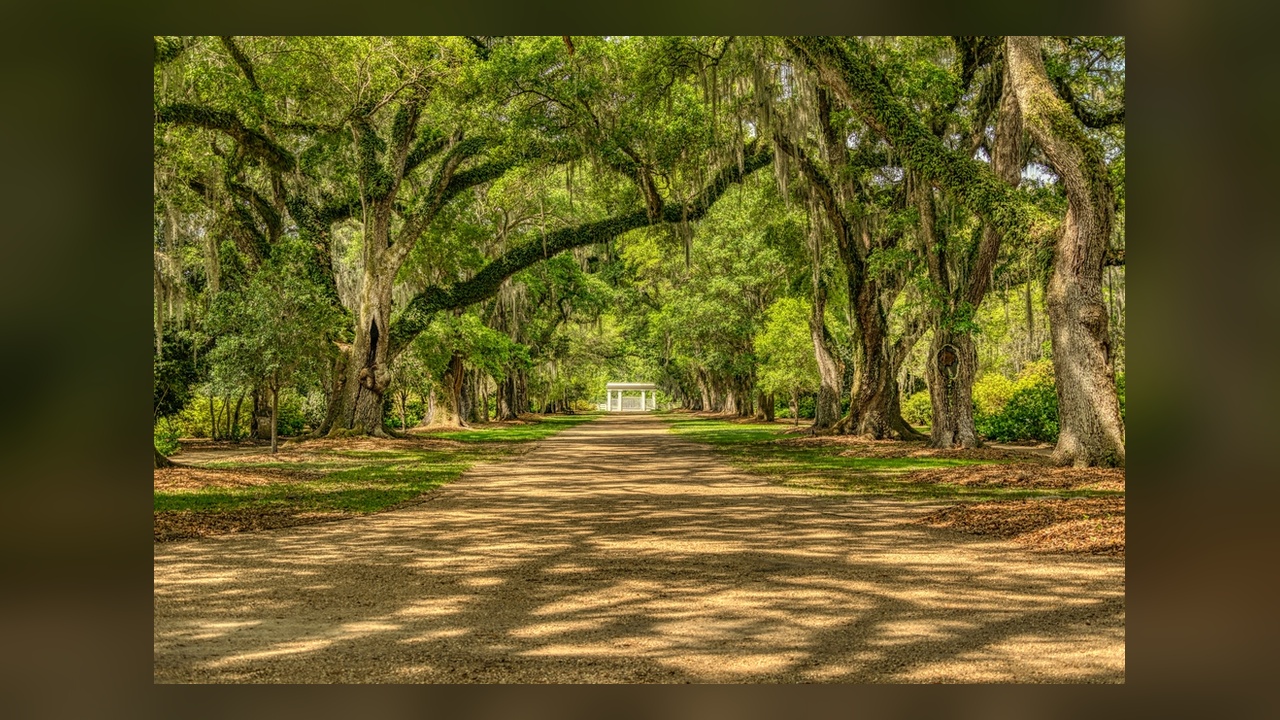 North of Baton Rouge, a skinny bluff town holds antebellum gardens, a ...