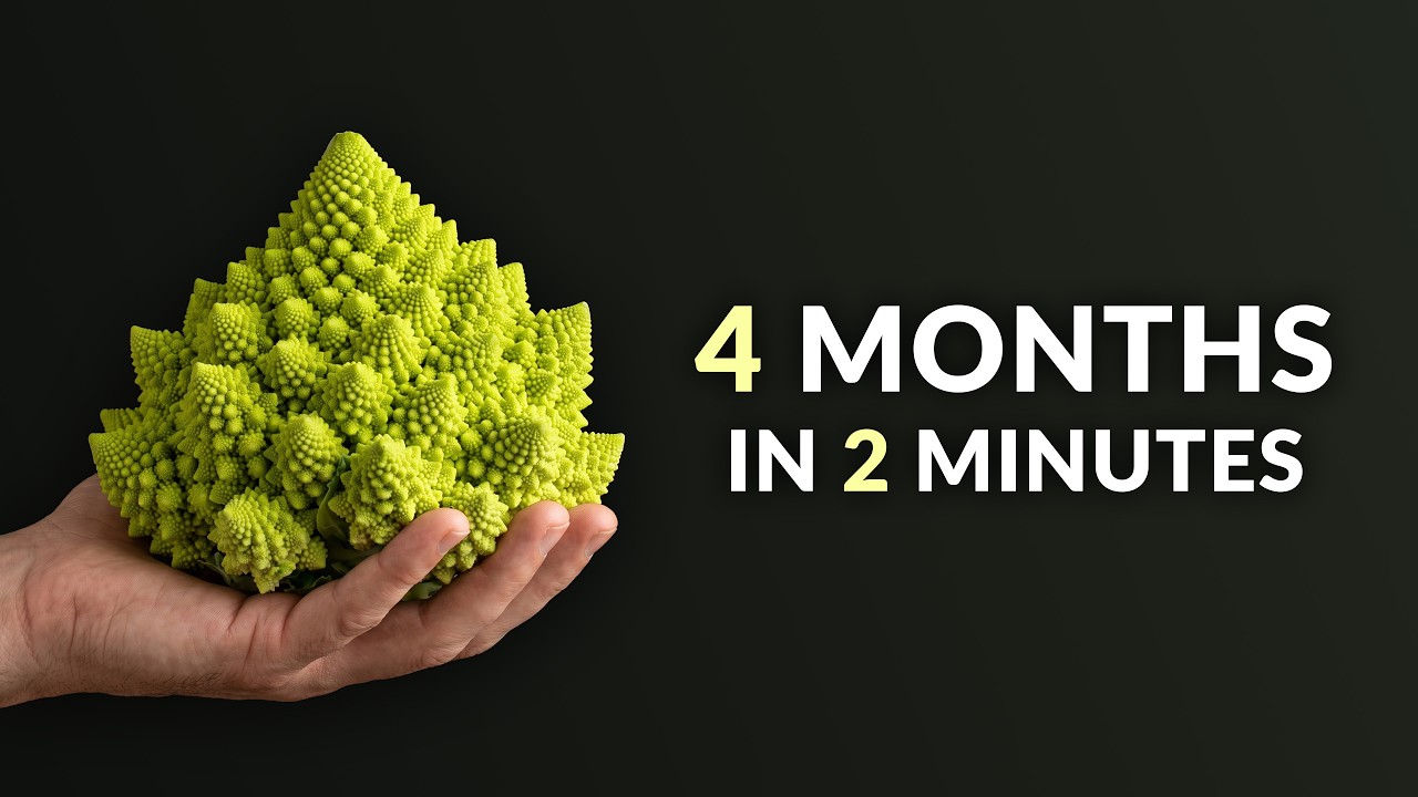 I filmed romanesco broccoli for 4 months