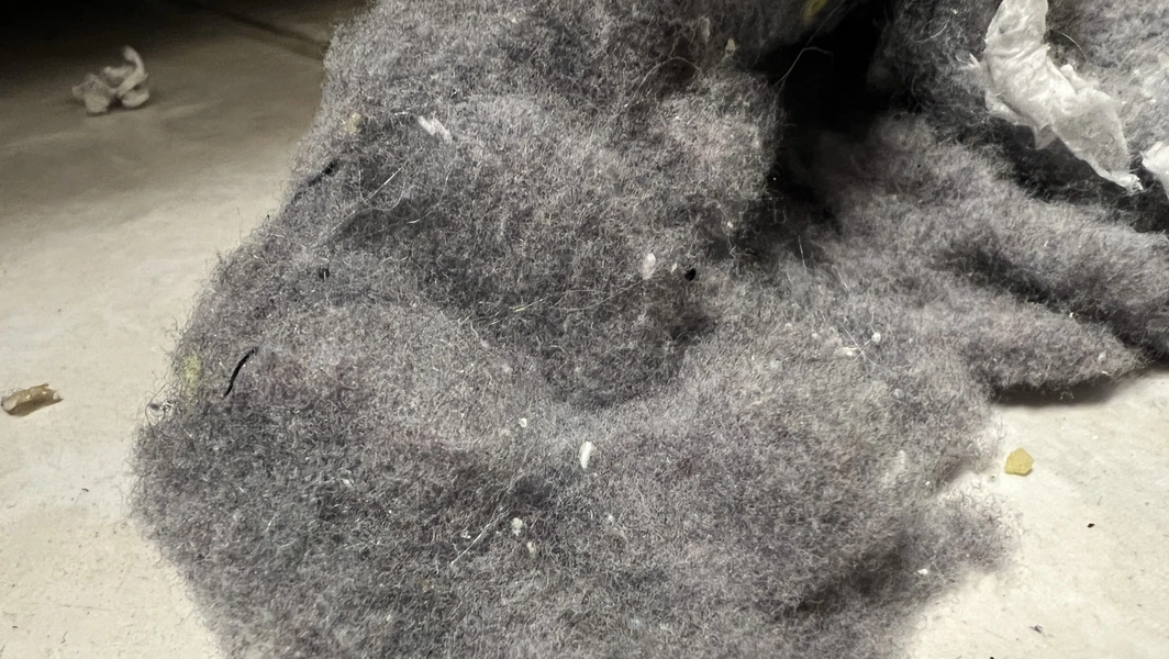 Chic 'n Savvy details common dryer habits that raise costs