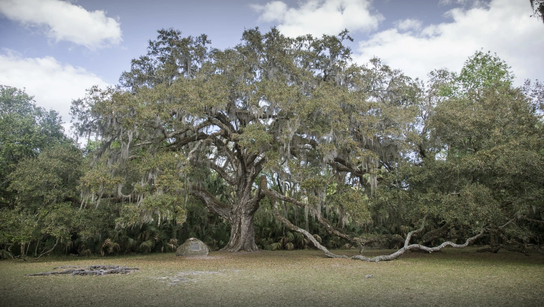 Bonaventure Cemetery’s history, art, and legends