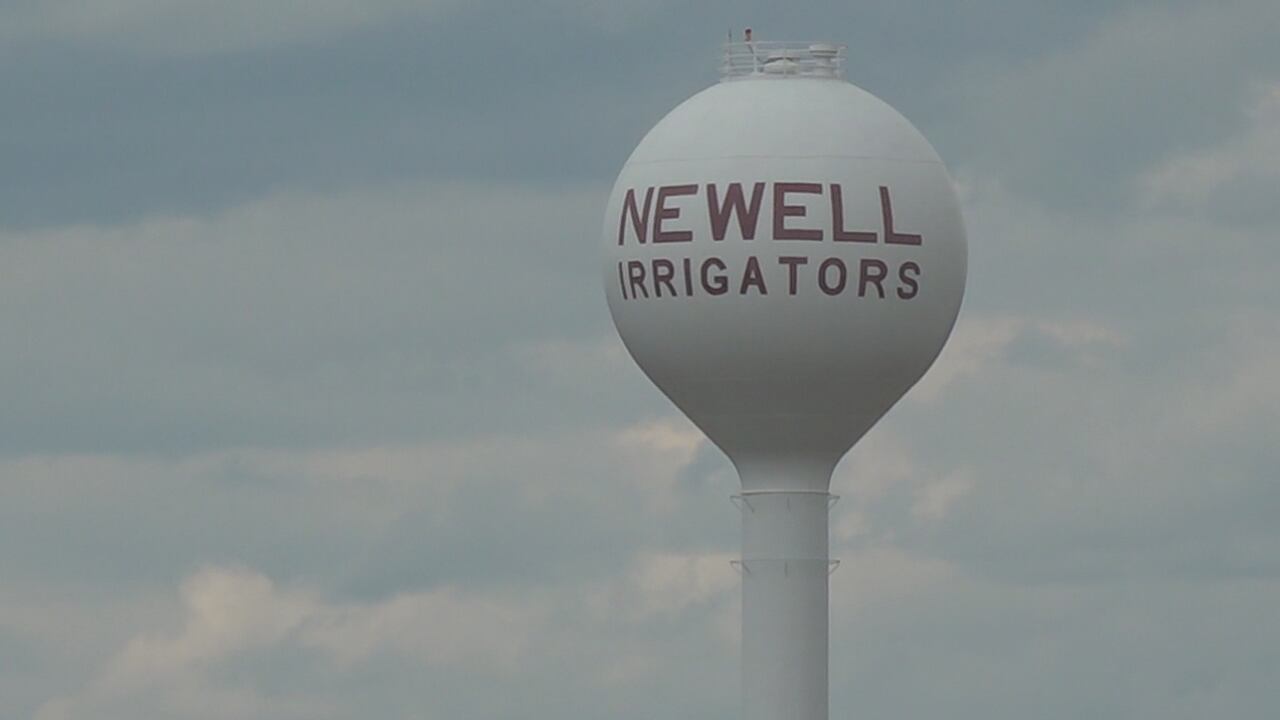 Debate grows in Newell over stray cat plan after council meeting